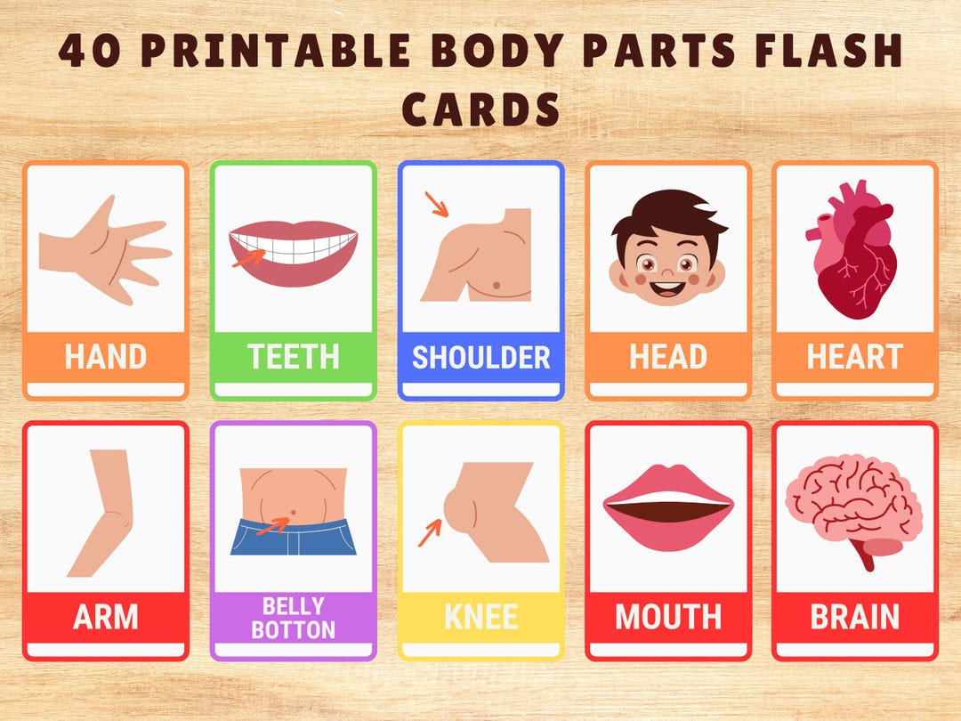 40 Human Body Parts Flashcards, Printable Montessori Flash Cards ...