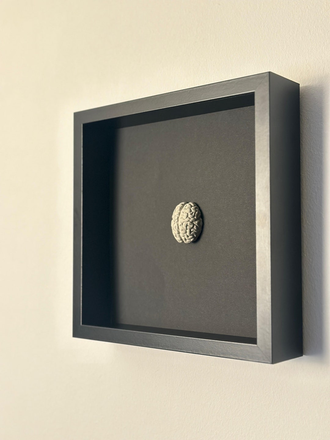 Stubborn Anatomically Correct Concrete Brain in a Black Picture Frame ...