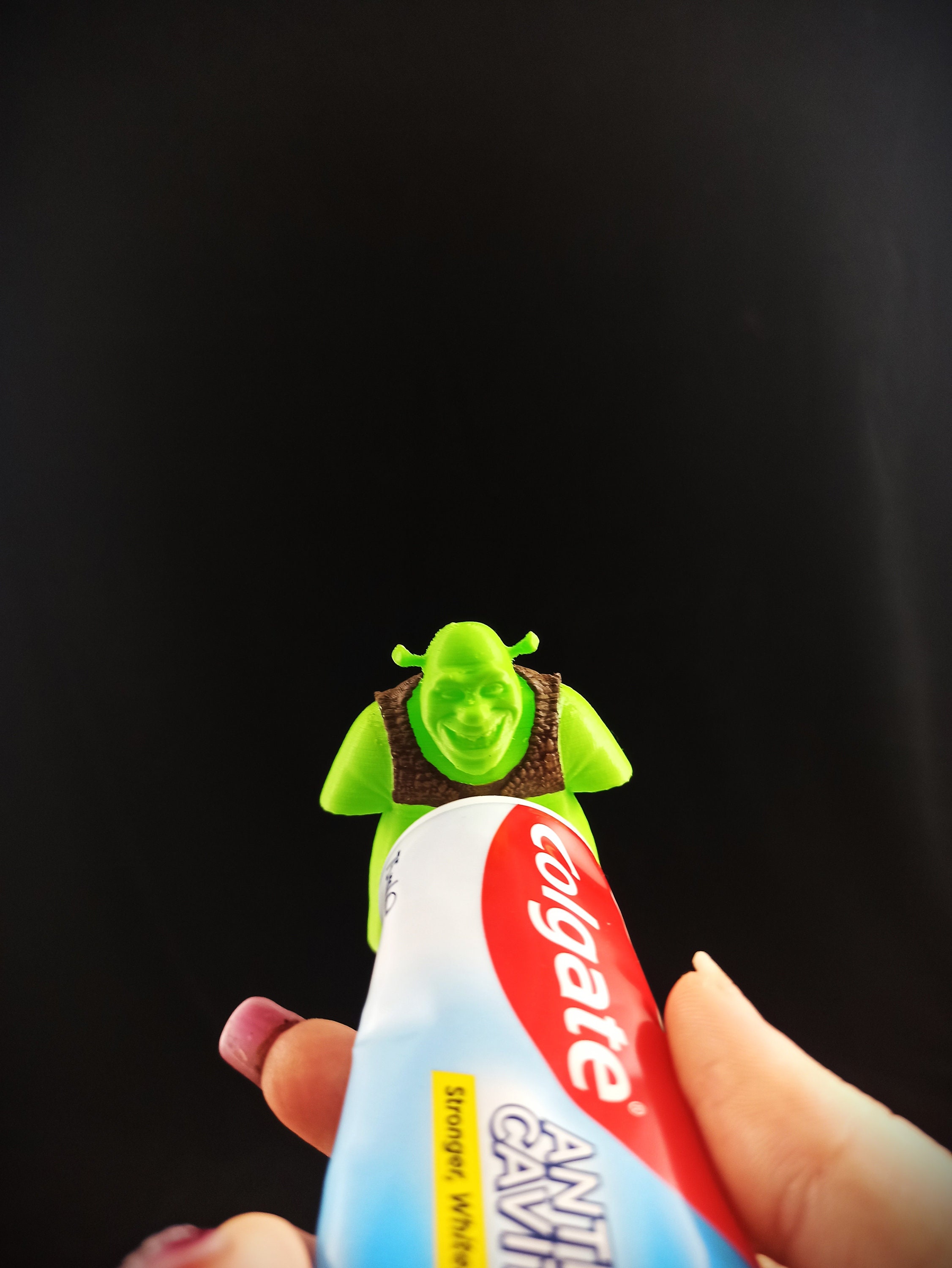Shrek Toothpaste Topper Hand Painted - Etsy