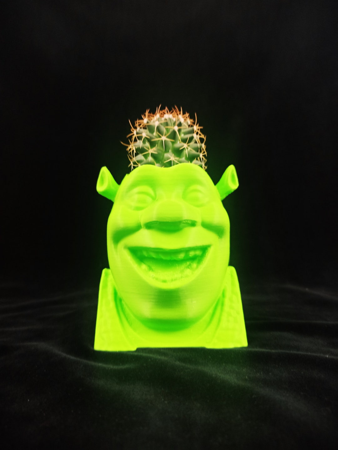 Shrek Planter Flowerpot - Etsy