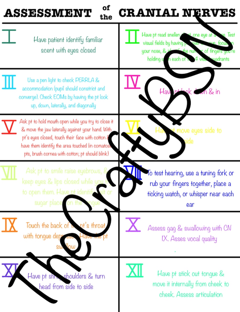 Nursing Cranial Nerves Notes - Etsy