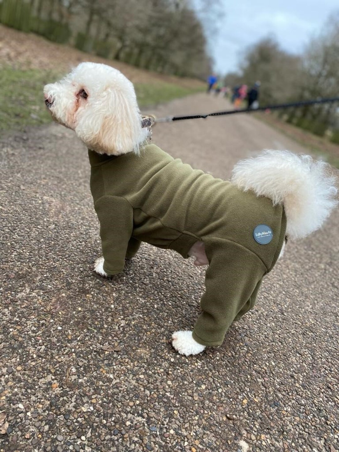 Dog Protecta Fleece-keep Your Dog Dry and Cozy on Those Wet Winter Days ...