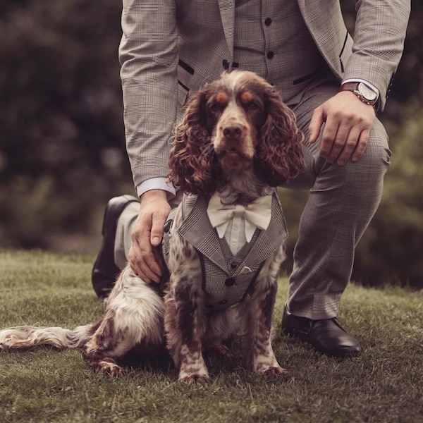 Perrito con traje - Etsy México