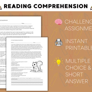 3rd Grade Reading Comprehension Bundle 15 Pages - Etsy