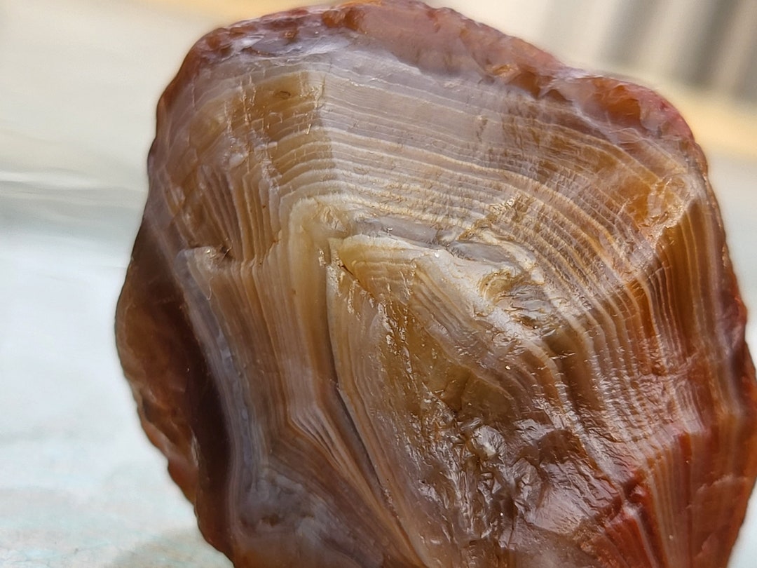 INCREDIABLE Lake Superior Agate Rough. This Heavily Banded and Brightly ...