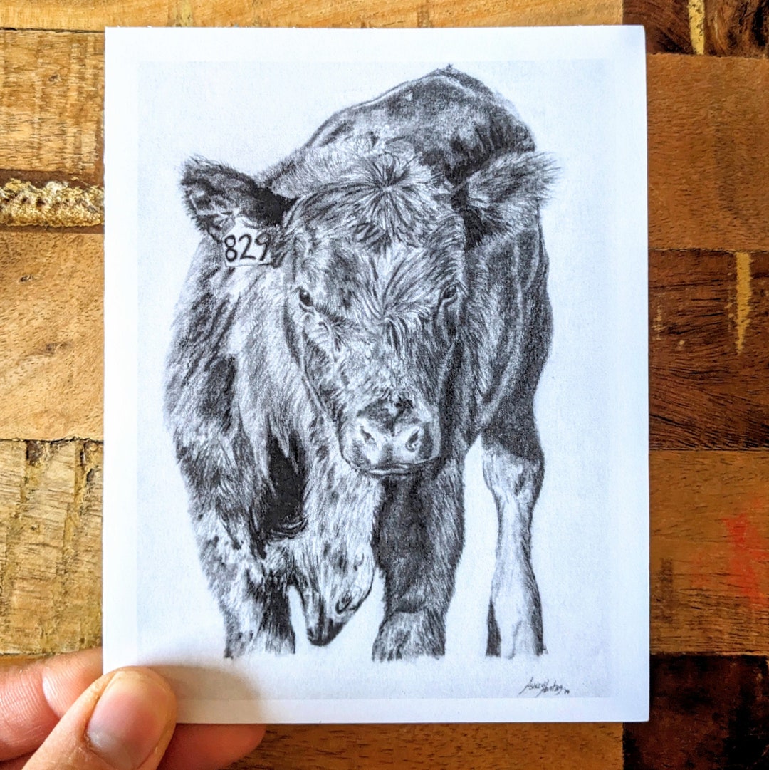 Angus Calf Blank Greeting Cards A2 - Set of 6 With Envelopes - Original ...