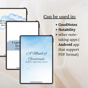 30 Days Daily Gratitude Worksheet Printable | Simple PDF Template for ...