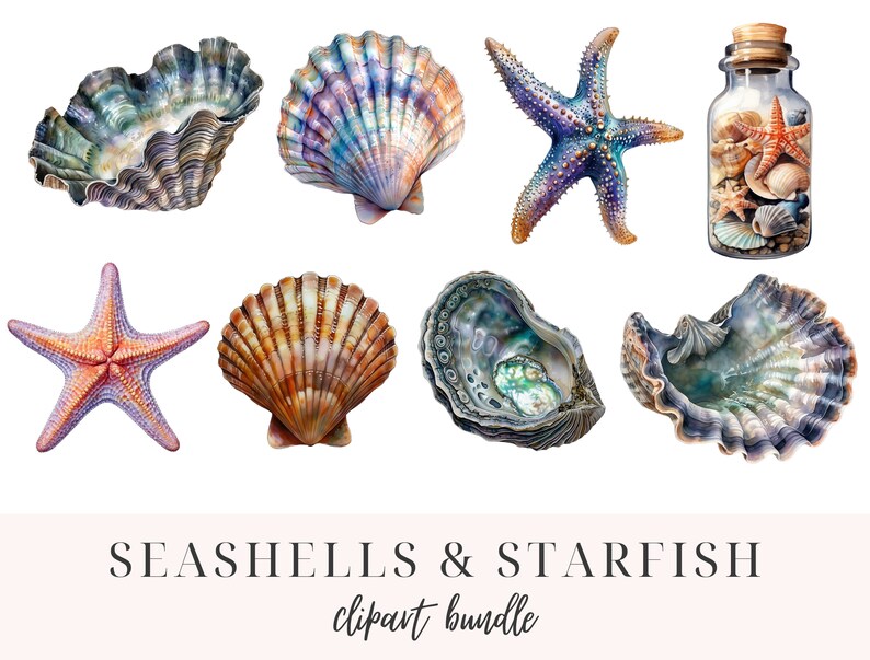 Watercolor Seashells and Starfish Clipart Bundle, Seashell ...