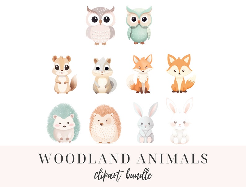 Woodland Animals Illustrations Clipart Bundle, Forest Animals Clipart ...