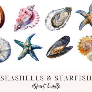 Watercolor Seashells and Starfish Clipart Bundle, Seashell ...