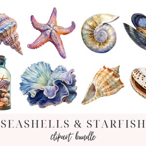 Watercolor Seashells and Starfish Clipart Bundle, Seashell ...