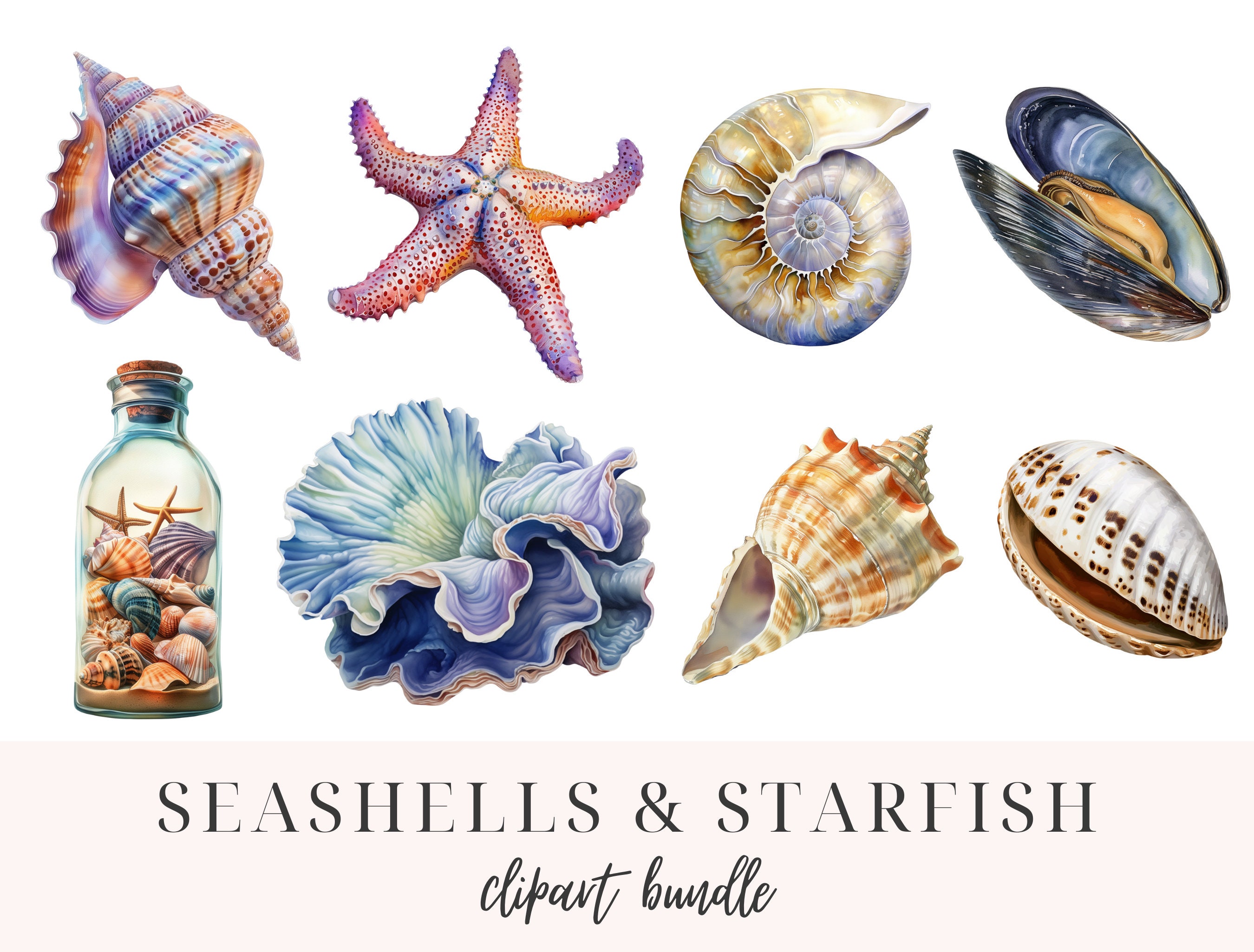 Watercolor Seashells and Starfish Clipart Bundle, Seashell ...