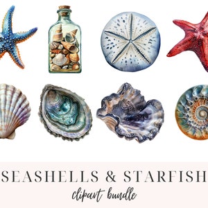 Watercolor Seashells and Starfish Clipart Bundle, Seashell ...