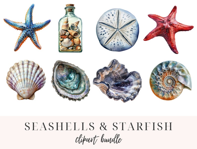 Watercolor Seashells and Starfish Clipart Bundle, Seashell ...