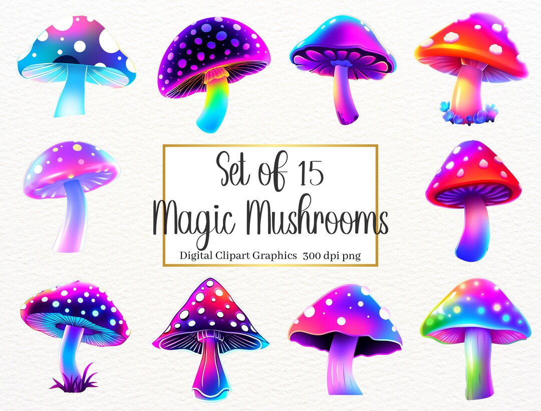 Mushroom Clip Art Clip Art Bundle Transparent PNG Digital - Etsy