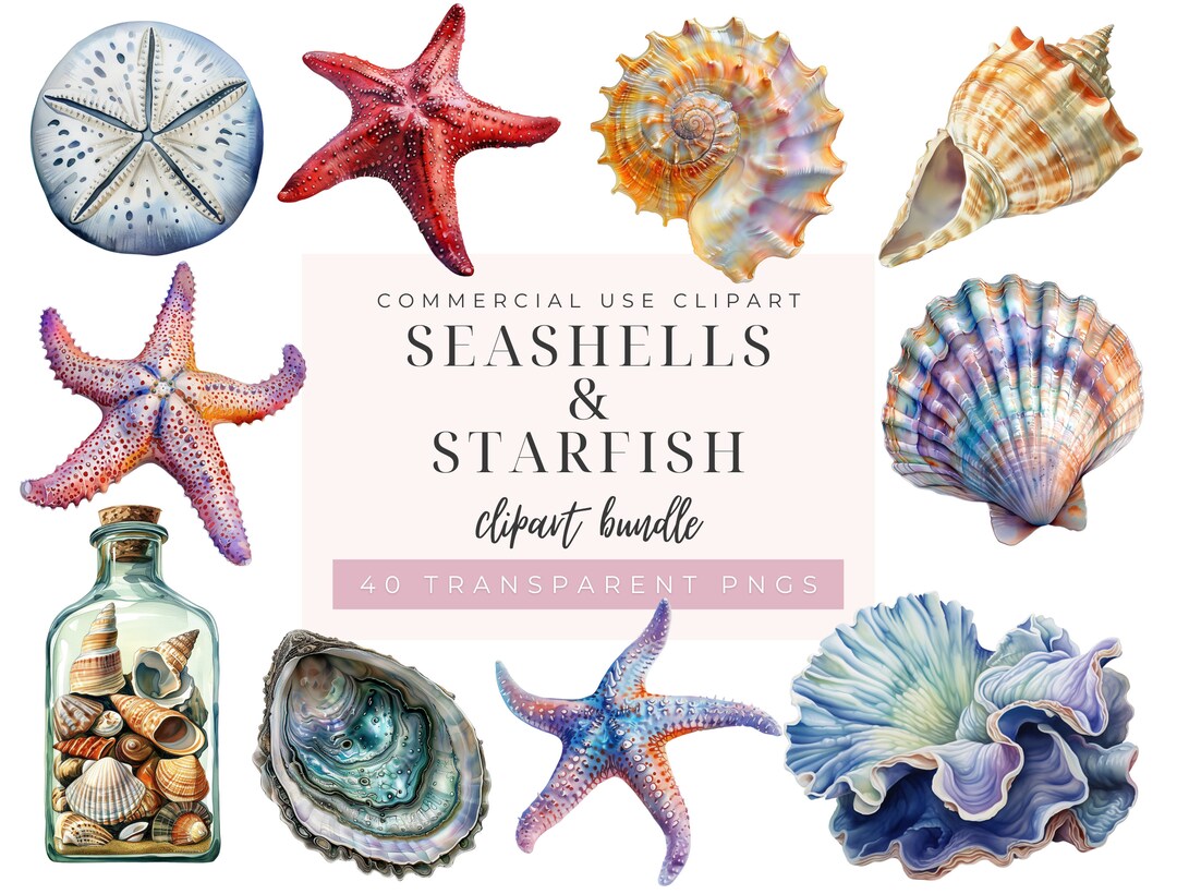 Watercolor Seashells and Starfish Clipart Bundle, Seashell ...
