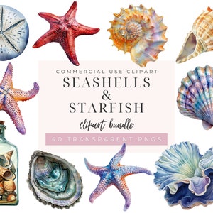 Watercolor Seashells and Starfish Clipart Bundle, Seashell ...