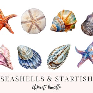 Watercolor Seashells and Starfish Clipart Bundle, Seashell ...