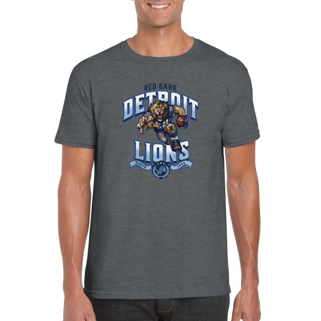 Detroit Lions Tshirt NFL Shirt Detroit Lions Football T-shirt Detroit ...