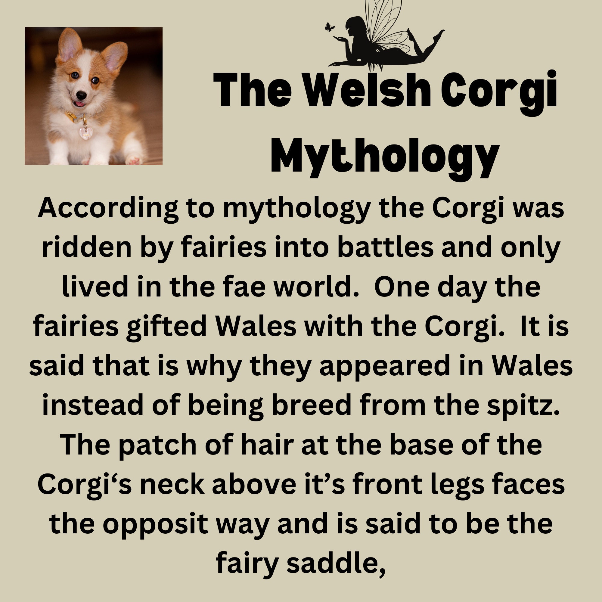 Fairies and Corgis Legends Tumbler Welsh Heritage Gift - Etsy