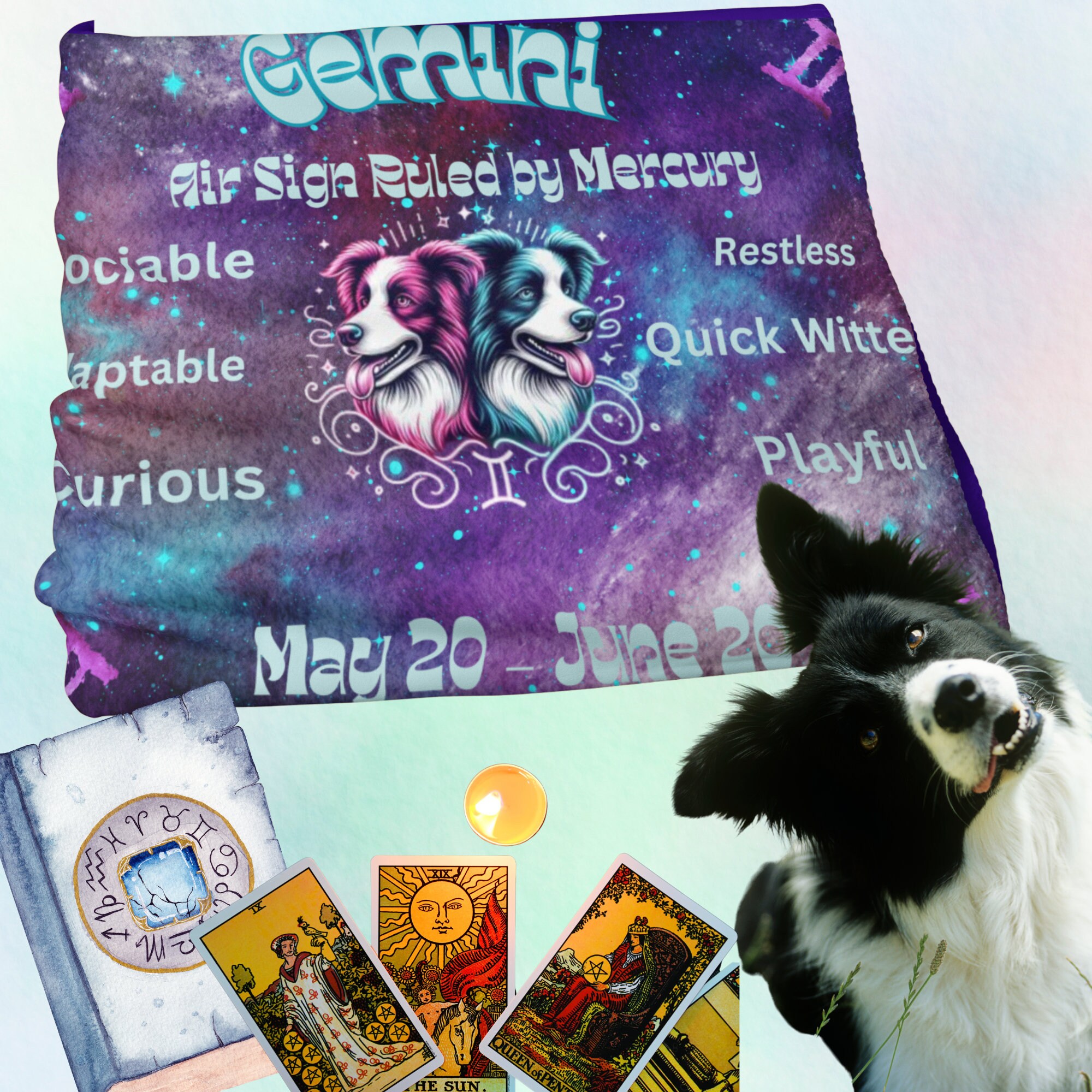 Celestial Neon Border Collie Blanket Perfect Conversation Starter for ...