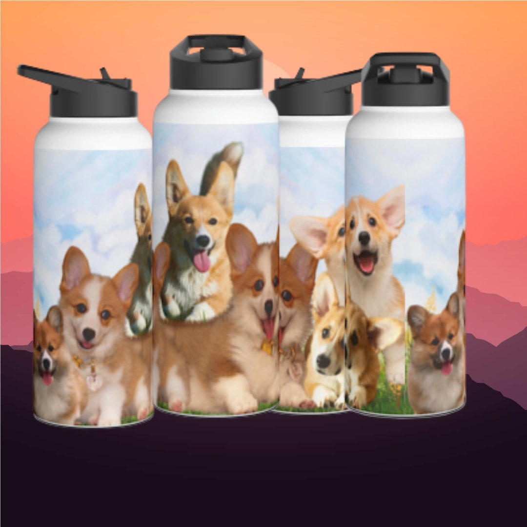 Cute Corgi Pack Dual Wall Insulated Water Bottle - Available in 3 Sizes ...
