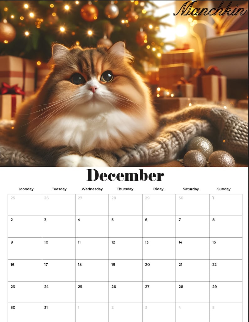2024 Printable Calendar PDF Cat Wall Calendar Monthly - Etsy Israel