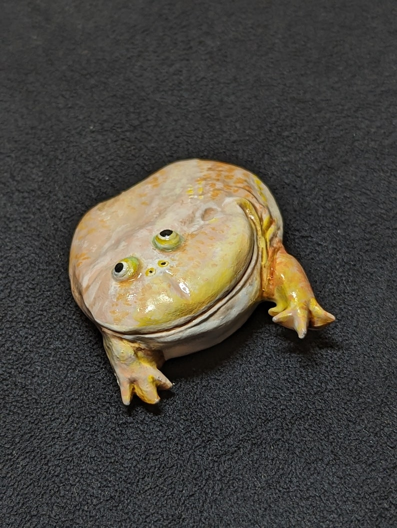 Realistic Budgett Frog Meme Magnet: Hand-painted Resin Fridge Decor - Etsy