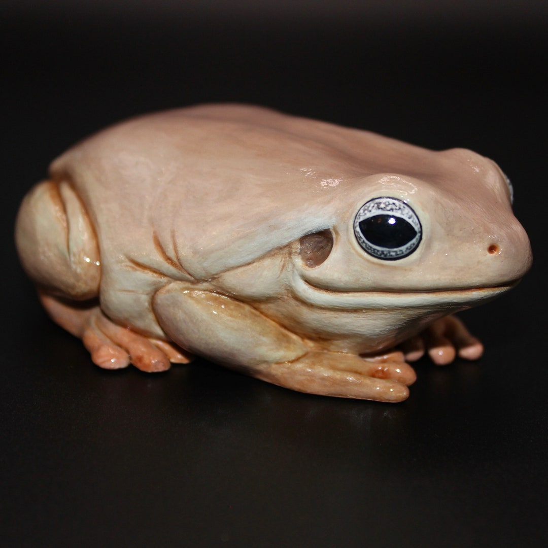 Realistic Dumpy Tree Frog Large Size Sculpture - Etsy