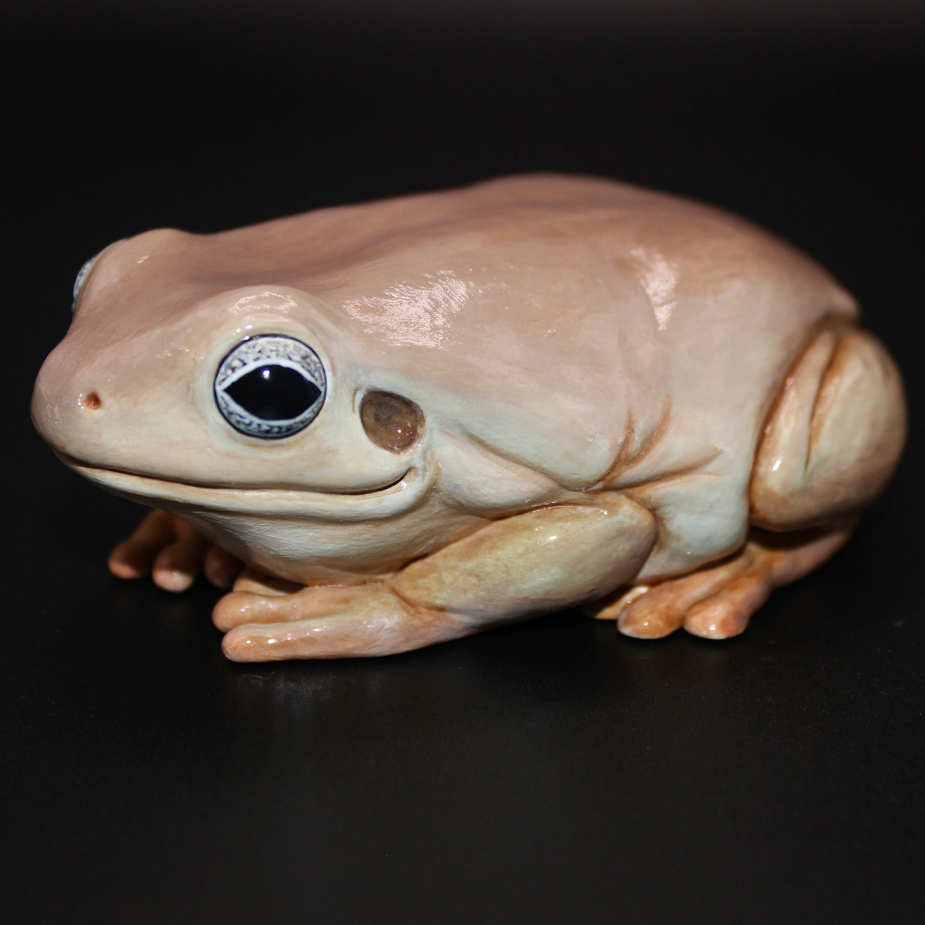 Realistic Dumpy Tree Frog Large Size Sculpture - Etsy