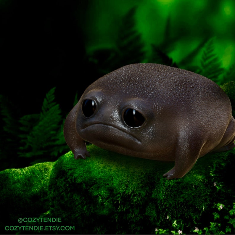 Sad Avocado Rain Frog Friend Deskpal - Etsy