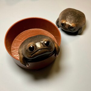 Sad Avocado Realistic Black Rain Frog Friend Deskpal - Etsy