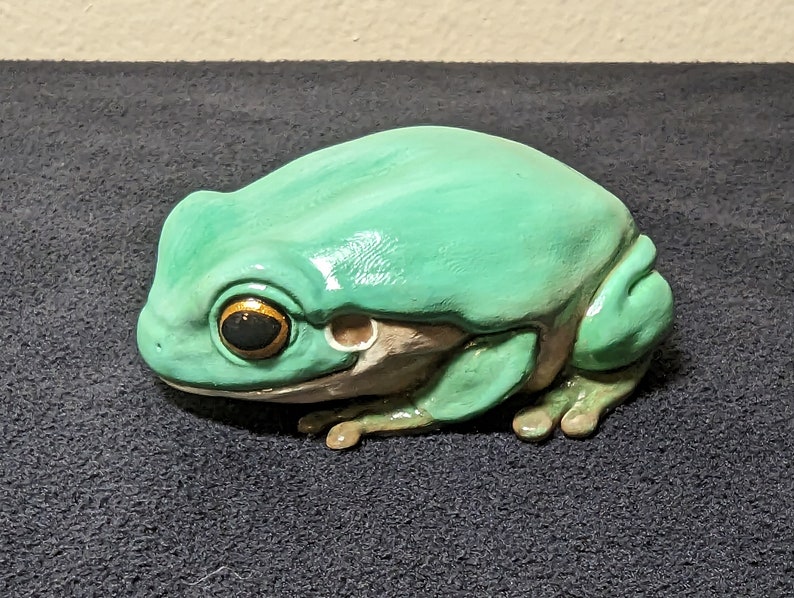 Realistic White Dumpy Tree Frog Deskpal Sculpture - Etsy