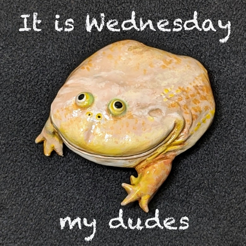 Realistic Budgett Frog Magnet it is Wednesday My Dudes Meme Realistic ...