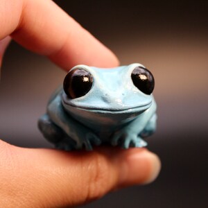 Realistic Blue Tree Frog Friend Deskpal - Etsy