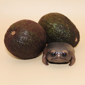 Sad Avocado Realistic Black Rain Frog Friend Deskpal - Etsy