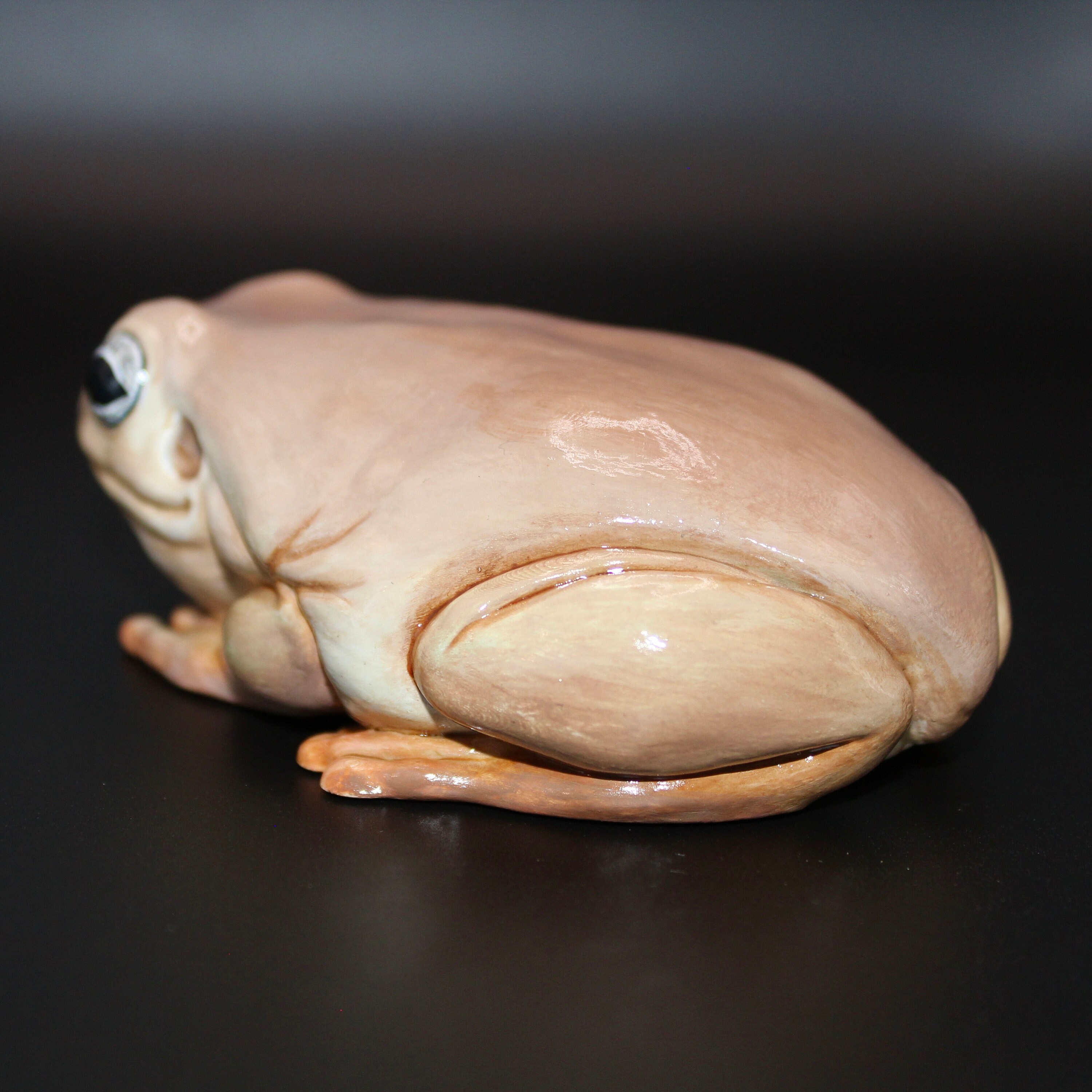Realistic Dumpy Tree Frog Large Size Sculpture - Etsy