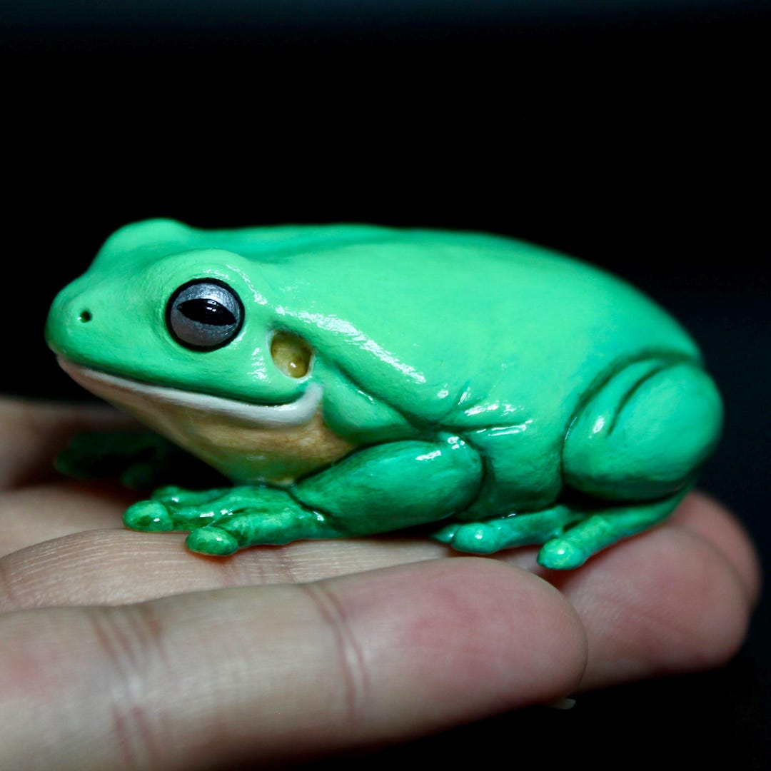 Realistic Dumpy Tree Frog Friend Pet Deskpal - Etsy