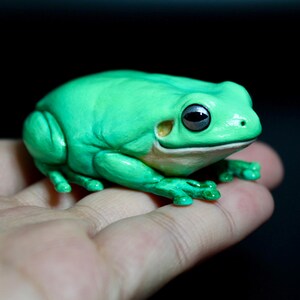 Realistic Dumpy Tree Frog Friend Pet Deskpal - Etsy