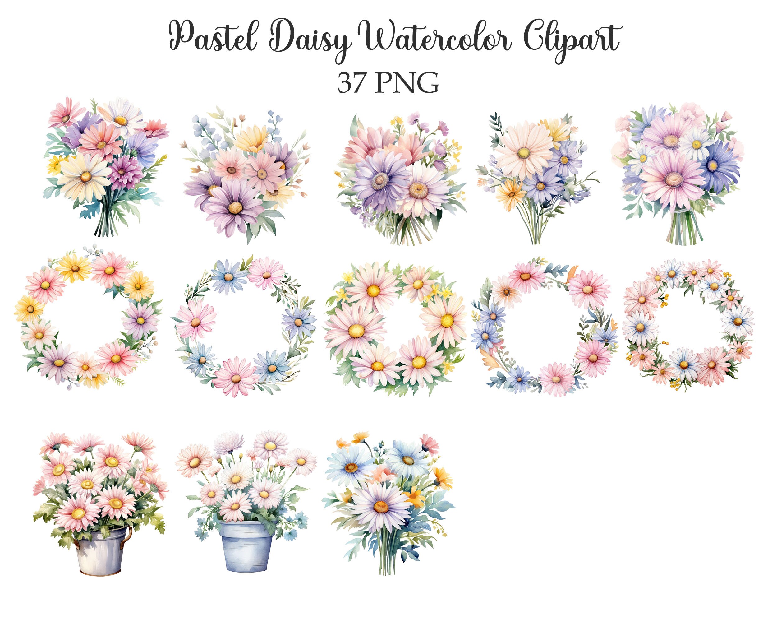 Pastel Daisy Watercolor Clipart, Daisy PNG Bundle, Daisy Bouquet Wreath ...