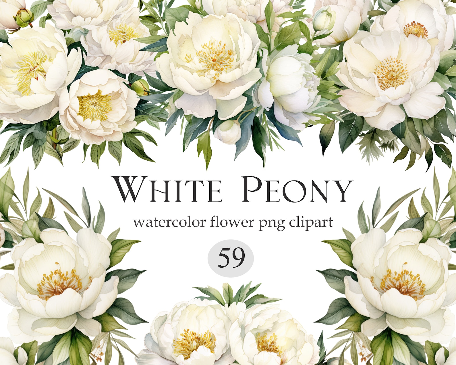 White Peony Clipart Bundle, Watercolor White Flower Clipart, Peony PNG ...
