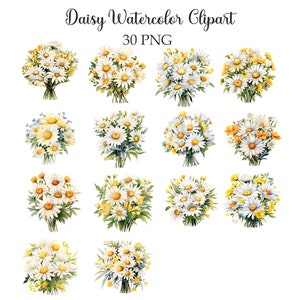 Daisy PNG, Watercolor Daisy Clipart Bundle, Daisy Flower Bouquet ...