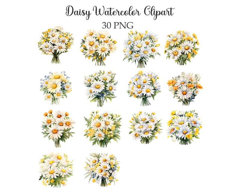 Daisy PNG, Watercolor Daisy Clipart Bundle, Daisy Flower Bouquet ...