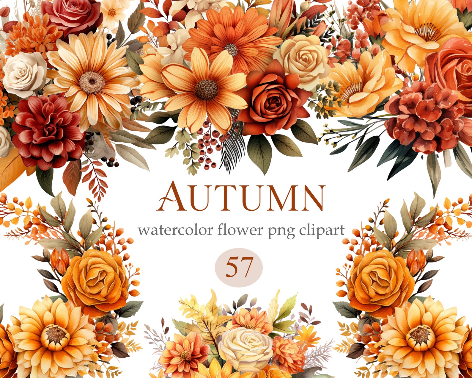 Autumn Flower PNG, Watercolor Fall Flower Clipart Bundle, Floral ...