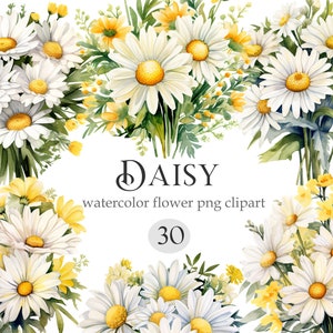 Daisy PNG, Watercolor Daisy Clipart Bundle, Daisy Flower Bouquet ...