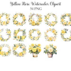 Yellow Rose PNG Clipart, Watercolor Yellow Rose Clipart Bundle, Yellow ...