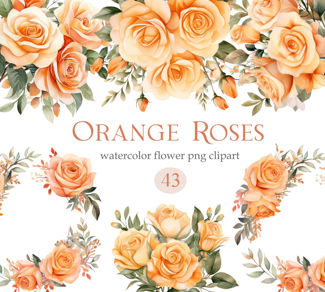 Orange Rose PNG Clipart, Watercolor Orange Rose Clipart Bundle, Rose ...