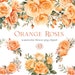 Orange Rose PNG Clipart, Watercolor Orange Rose Clipart Bundle, Rose ...