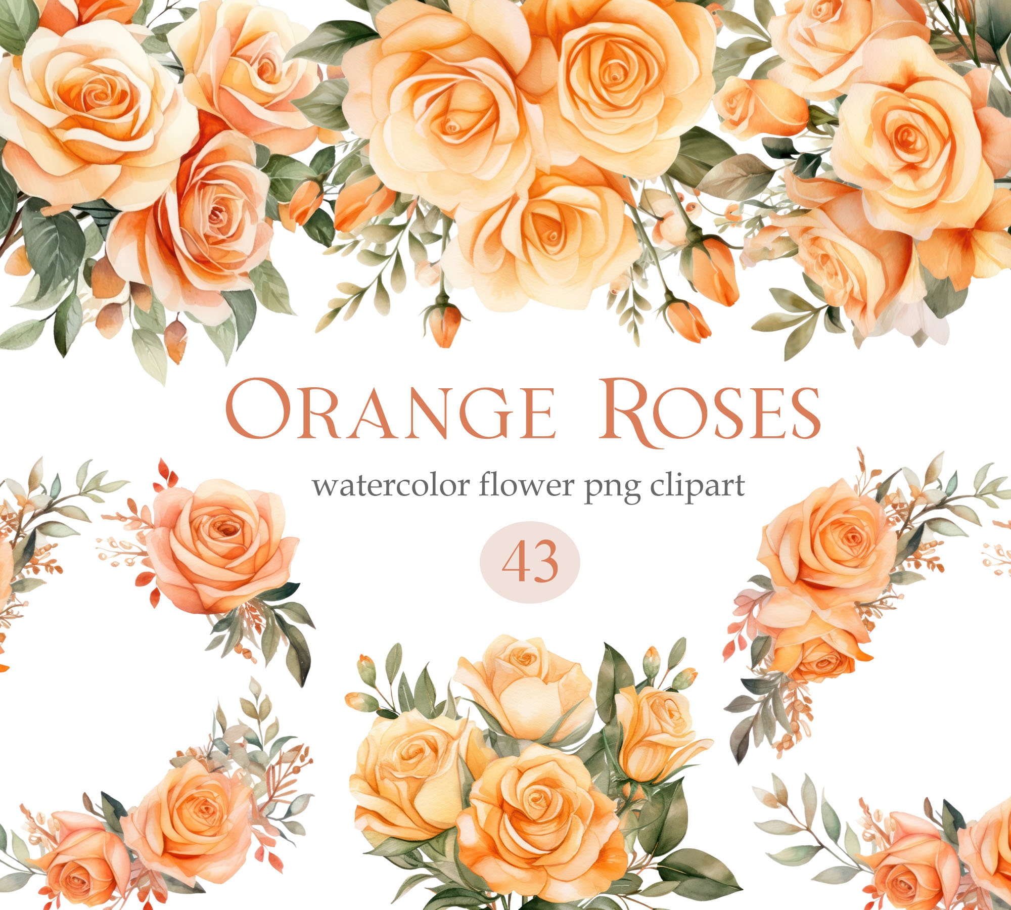 Orange Rose PNG Clipart, Watercolor Orange Rose Clipart Bundle, Rose ...