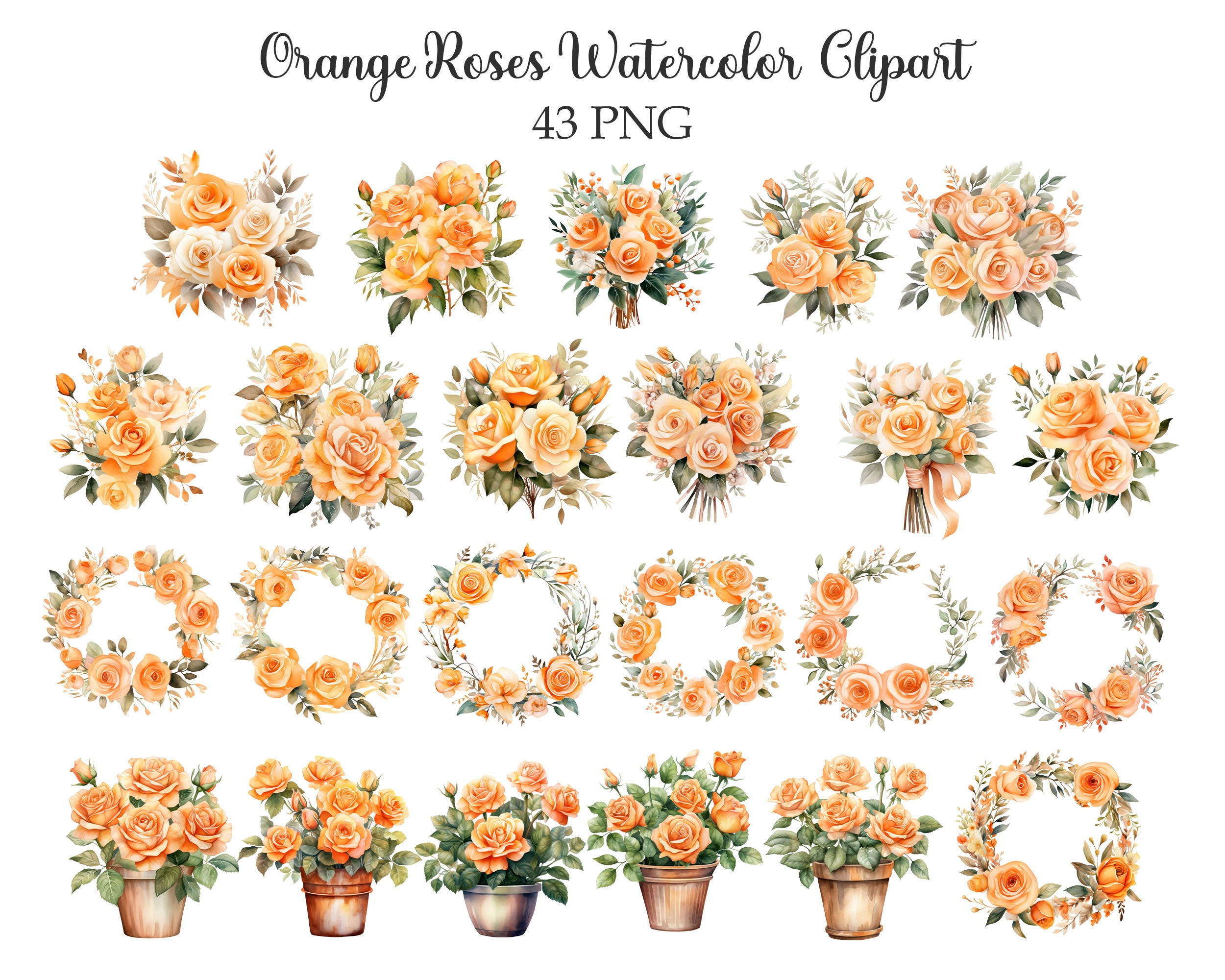 Orange Rose PNG Clipart, Watercolor Orange Rose Clipart Bundle, Rose ...
